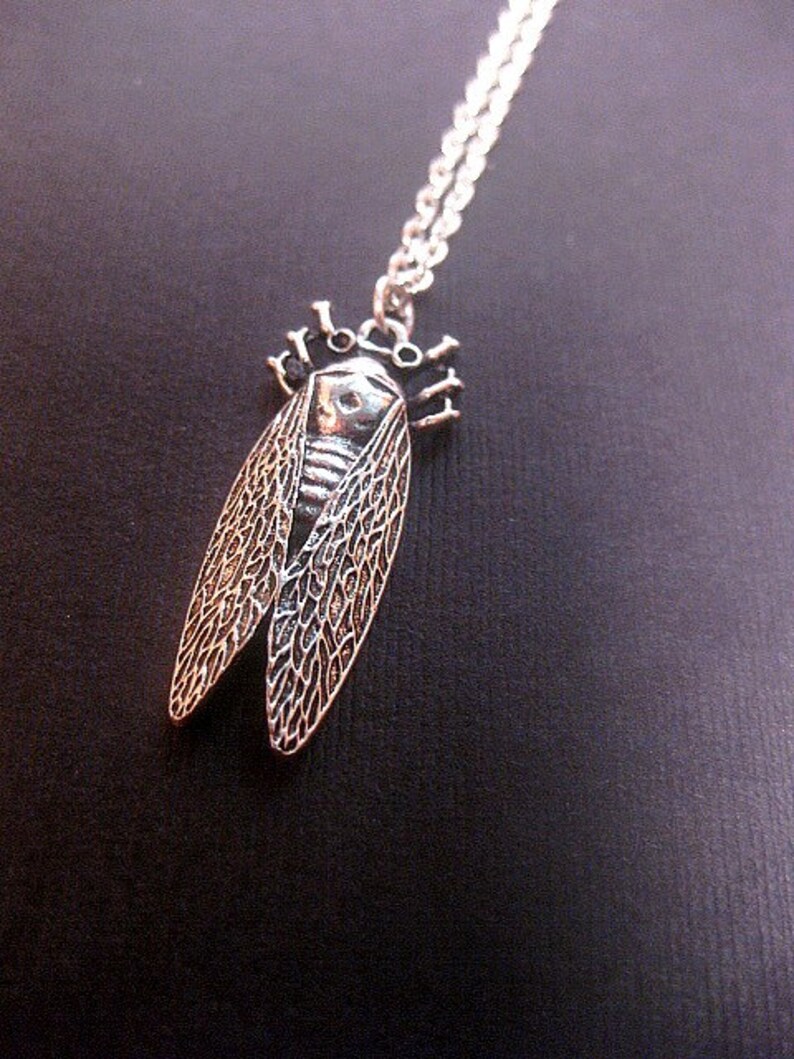 Insect Jewelry Bug Necklace Cicada - Etsy