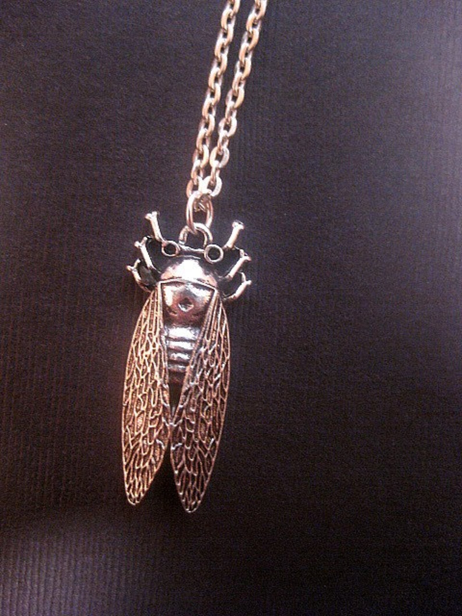 Insect Jewelry Bug Necklace Cicada - Etsy