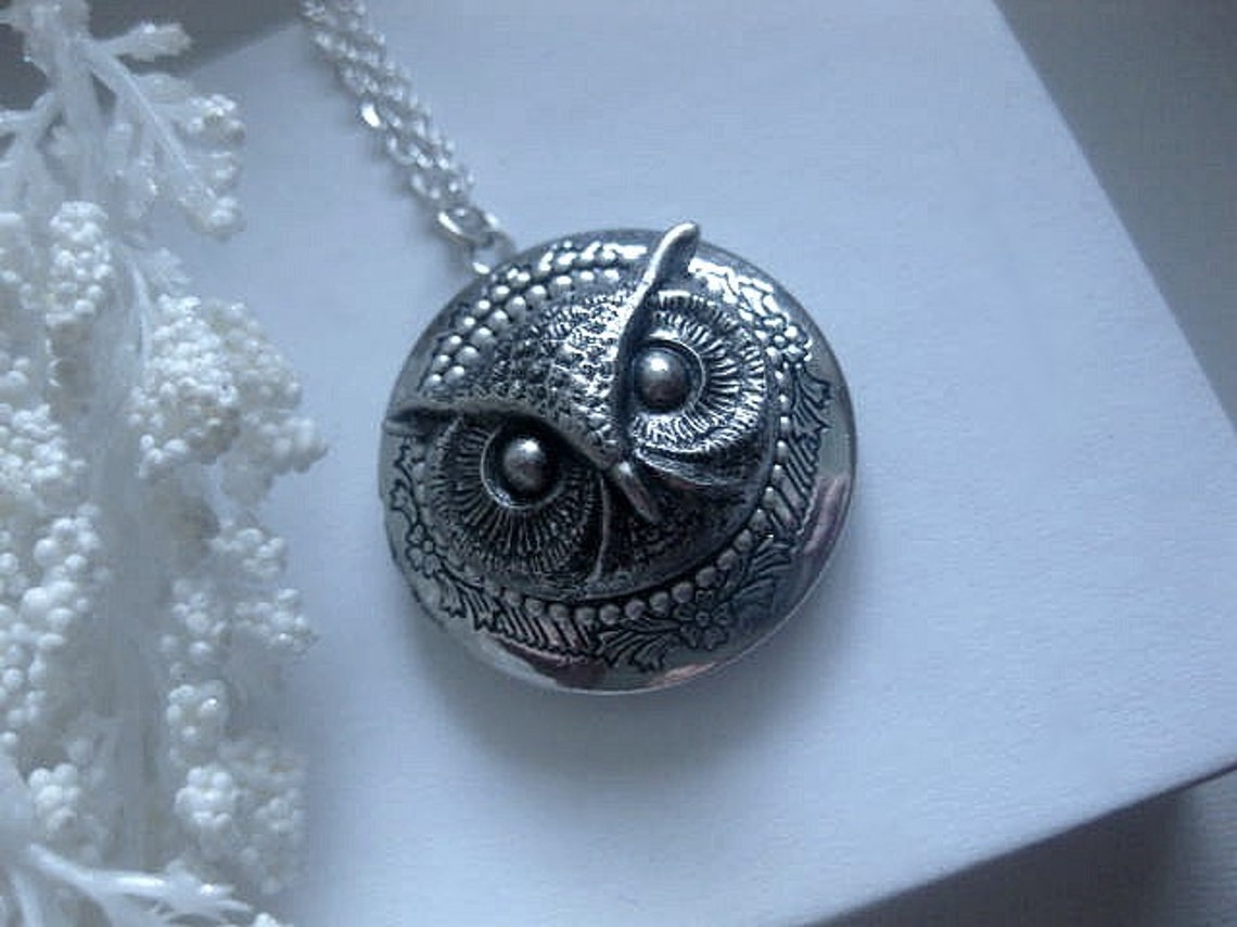Owl Locket Jewelry Owl Necklace Silver Locket Photo - Etsy