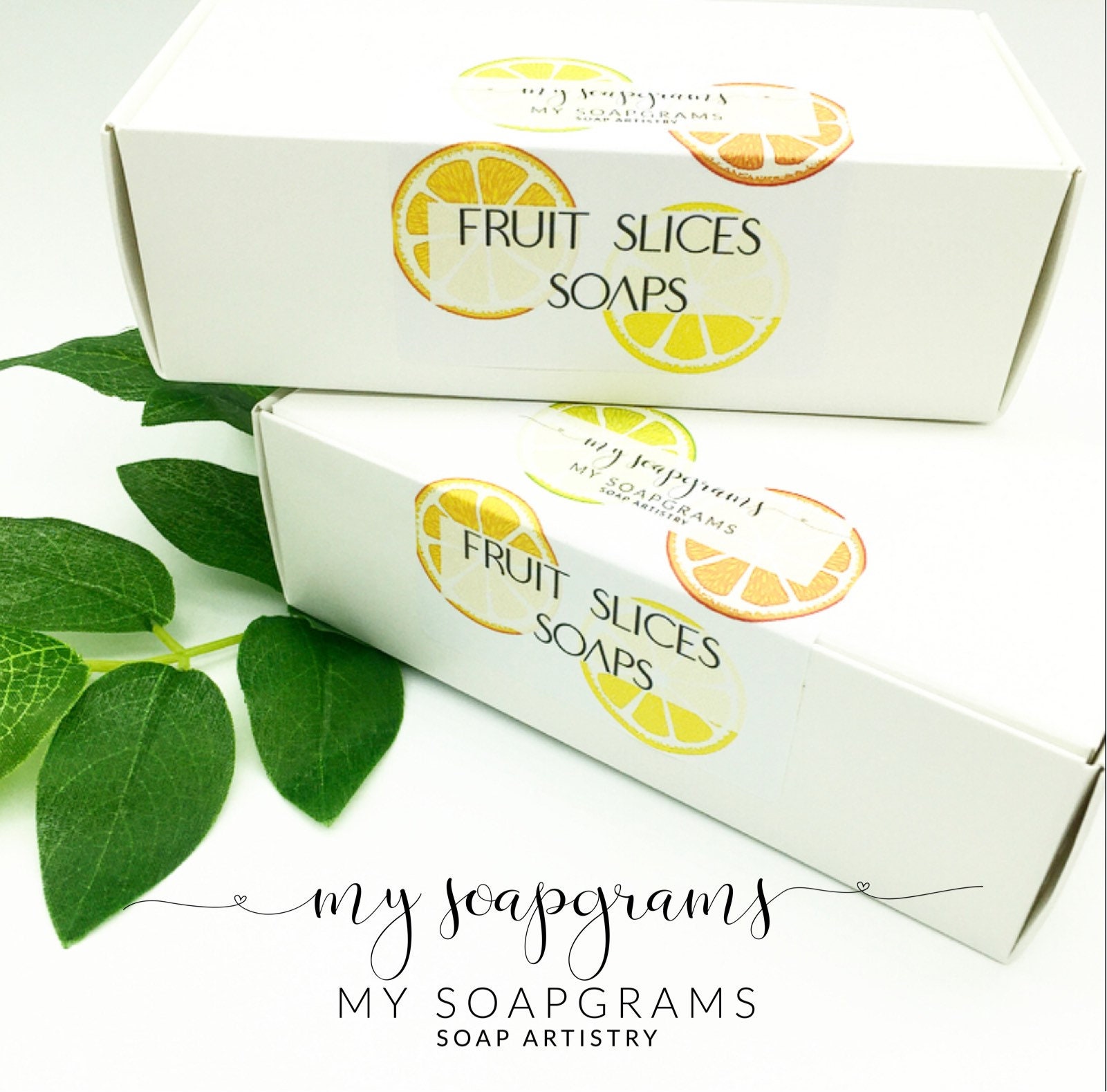 Citrus Soap Slices Fruit Soap Slices Citrus Soap Set | Etsy