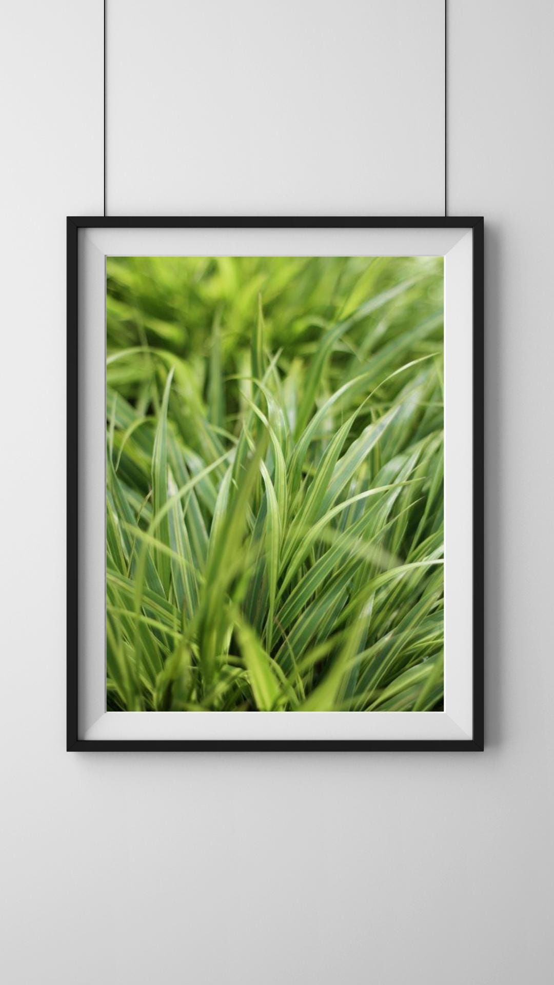 Grass, Digital Download, Photography, Art Print - Etsy