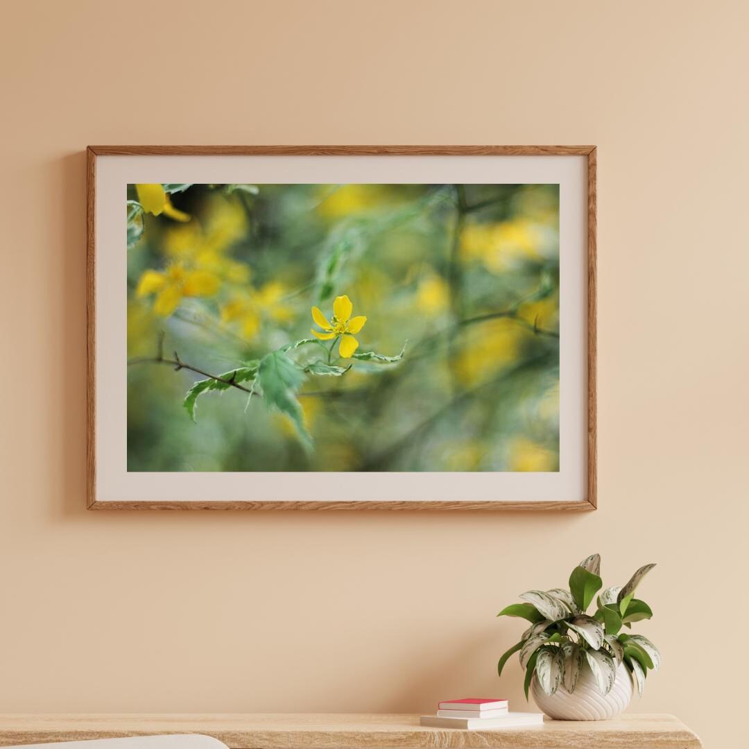 Saffron, Digital Download, Photography, Art Print - Etsy