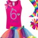 Pink 6th Birthday Shirt Birthday Tutu Skirt Girls Sixth Birthday Hair ...