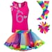 Pink 6th Birthday Shirt Birthday Tutu Skirt Girls Sixth Birthday Hair ...