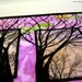 Quilted Fiber Art Tree Photos Printed on Fabric Appliqued - Etsy