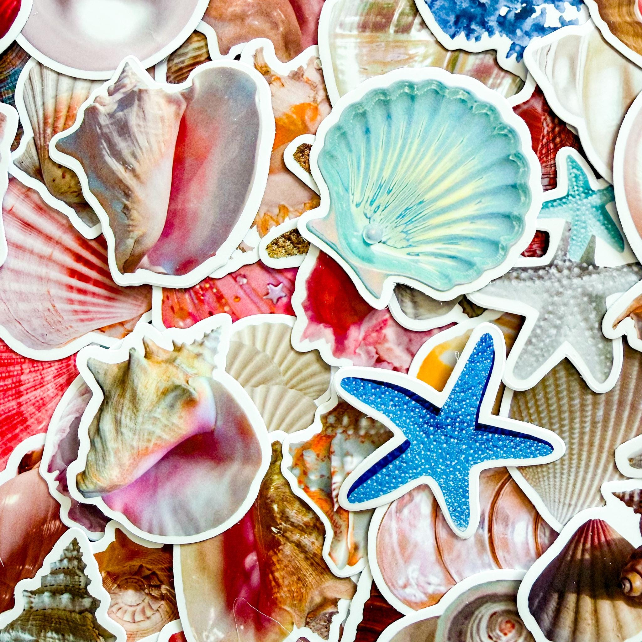 Pack of 50 Seashell Stickers, Ocean Shell Stickers, Starfish Beach ...