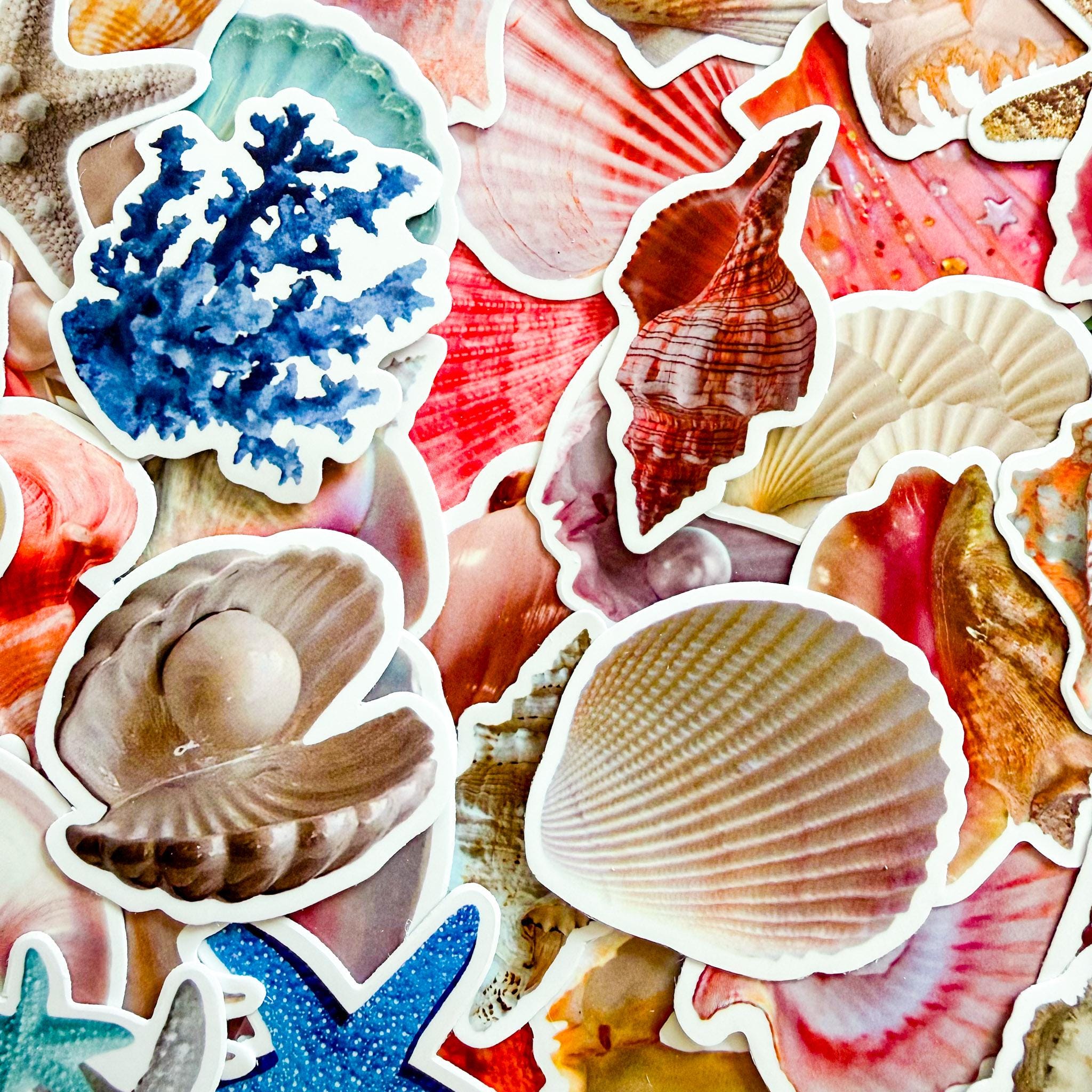 Pack of 50 Seashell Stickers, Ocean Shell Stickers, Starfish Beach ...