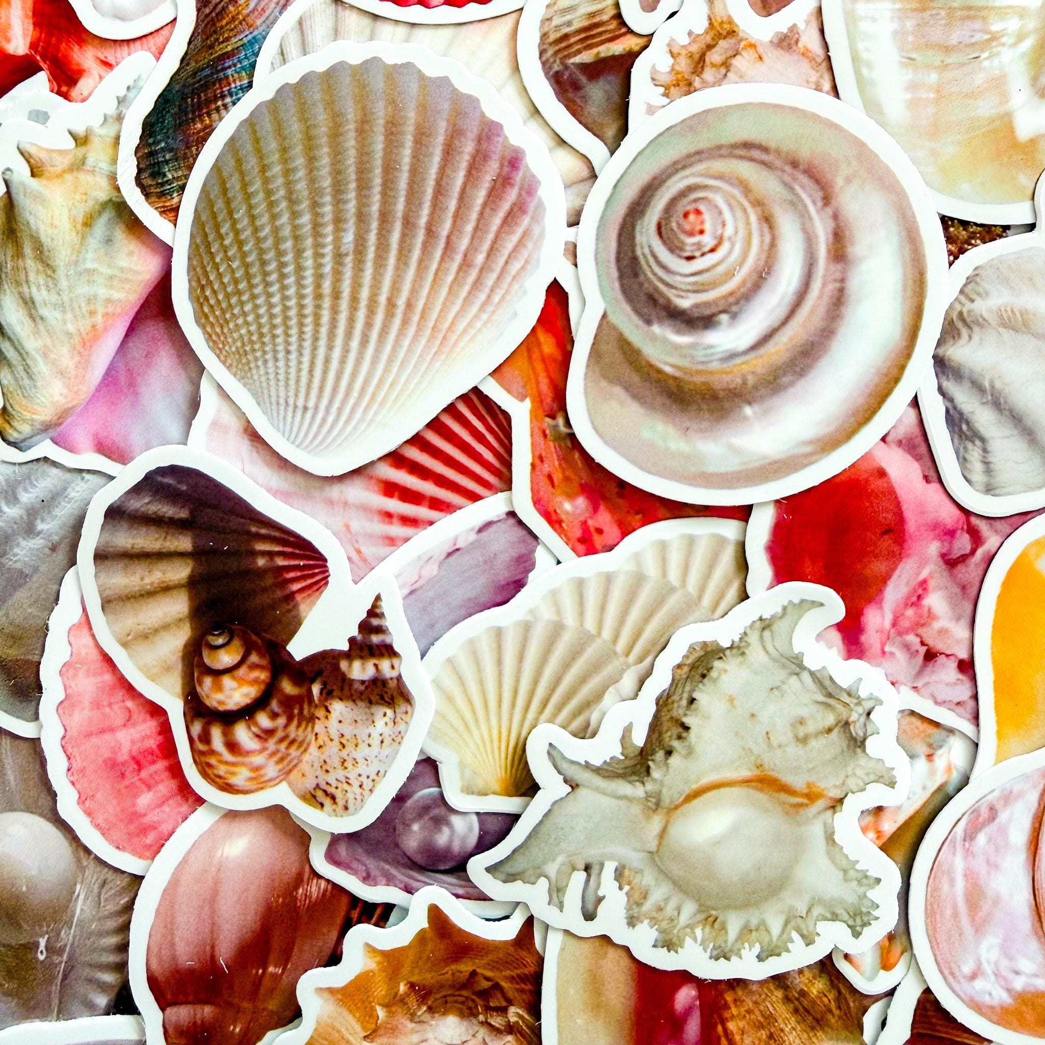 Pack of 50 Seashell Stickers, Ocean Shell Stickers, Starfish Beach ...