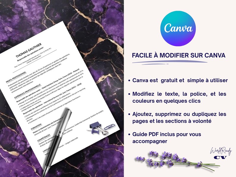 CV ATS Compatible Canva – Modèle De Cv Professionnel En Français, Kit ...