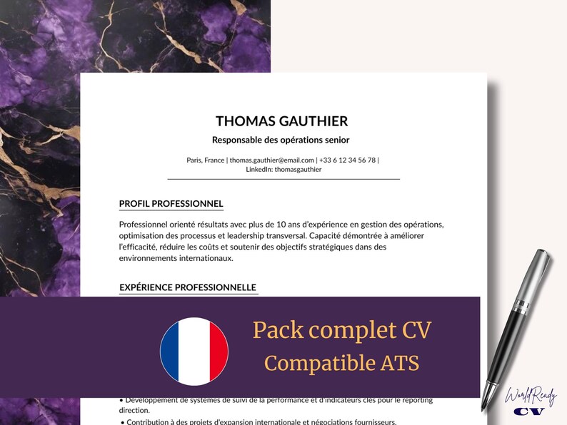 CV ATS Compatible Canva – Modèle De Cv Professionnel En Français, Kit ...