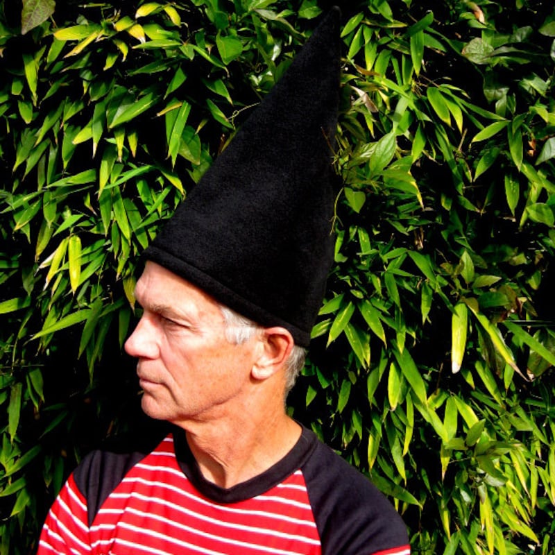 Adult Dunce Cap - Etsy