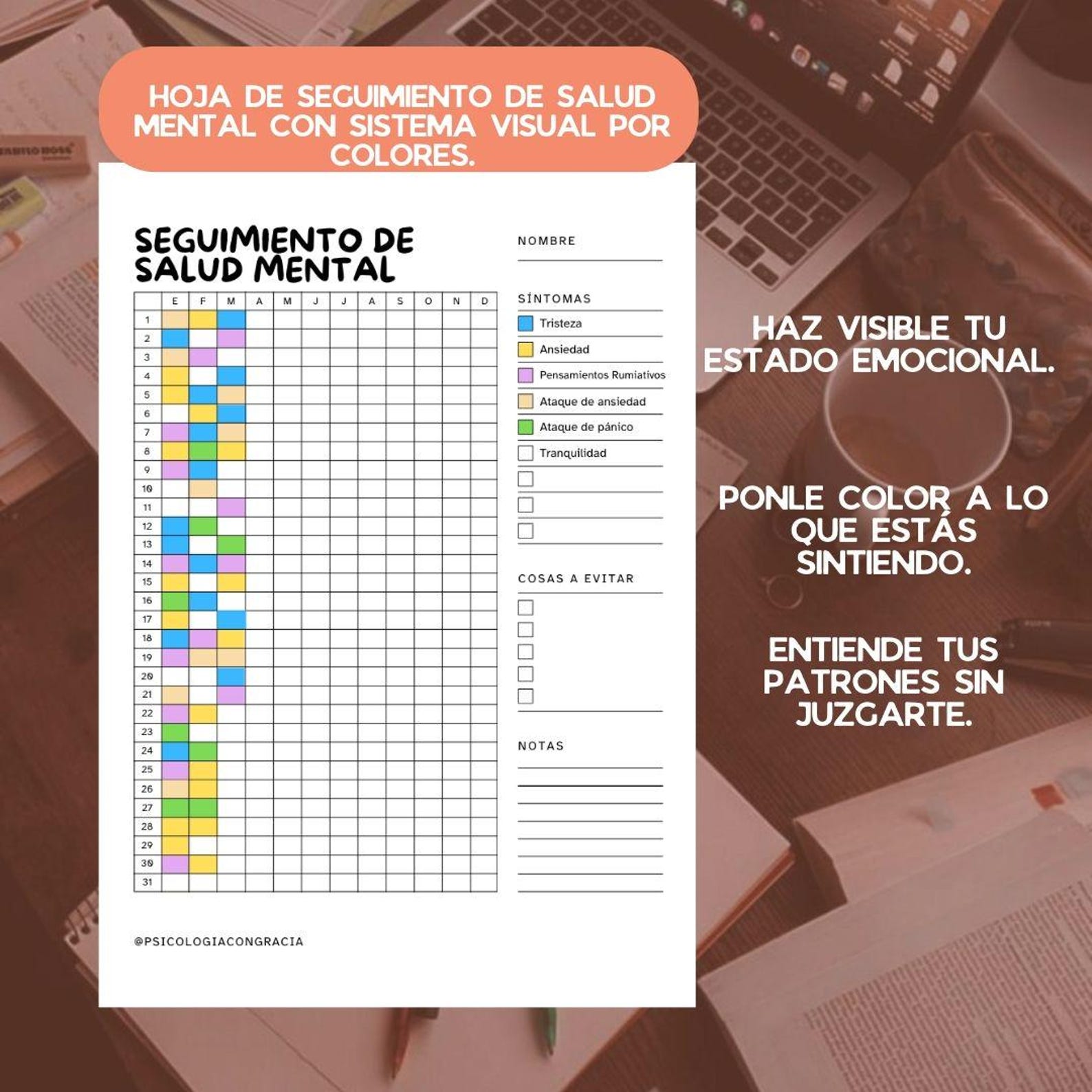 Mental Health Tracker Printable (spanish) | Mood Tracker PDF | Mental ...