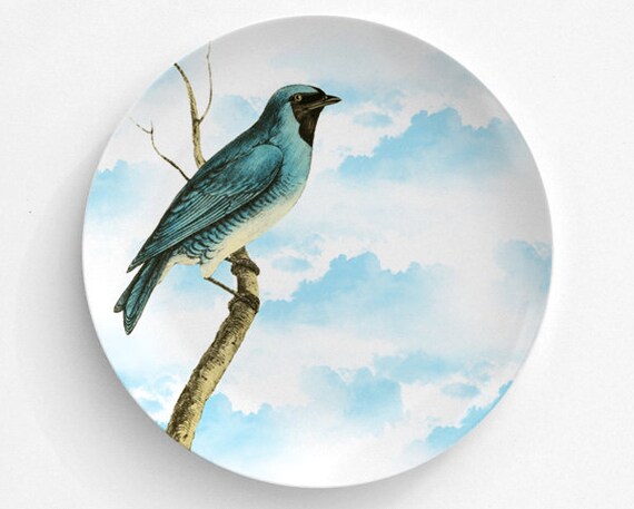 Swallow Fruit Eater Bird Plate Melamine Plate Vintage Bird | Etsy