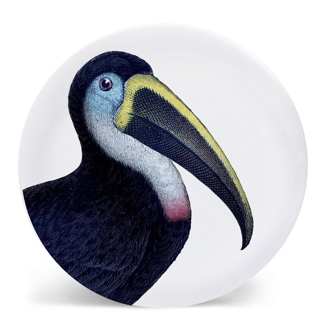Plate Blue Toucan Bird Toucan Plate Tropical Bird Dinnerware Dinner ...