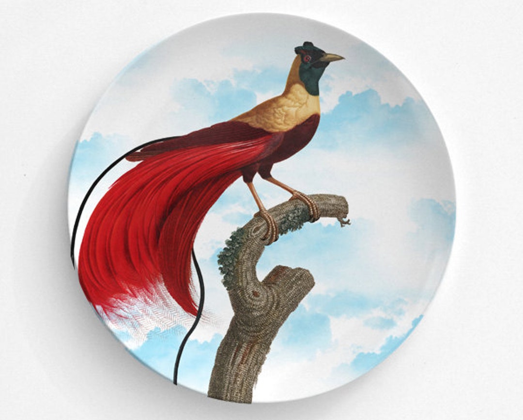 Red Bird of Paradise Plate, Plate, Vintage Bird Illustration, Kitchen ...