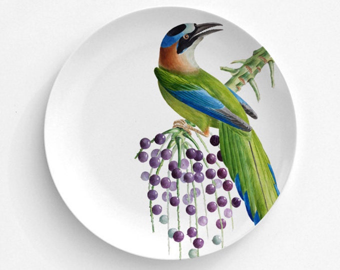 Mot Mot Bird, Bird Plate, Melamine Plate, Vintage Bird Illustration ...
