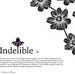 Jade - Peony Indelible - 108" Wide Backing Fabric - Anna Maria Textiles ...