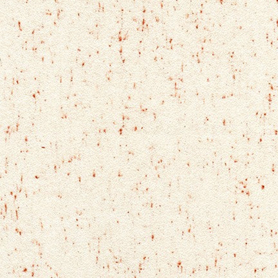 DOVE BEIGE Speckle From Shetland Flannel SRKF-20537-412 From Robert ...