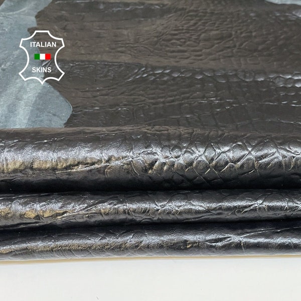 Real Alligator Skins - Etsy