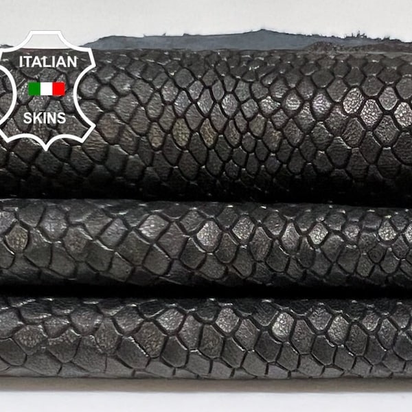 Black Snake Print - Etsy