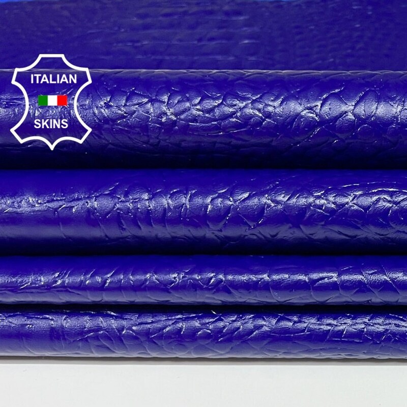 Alligator Embossed - Etsy