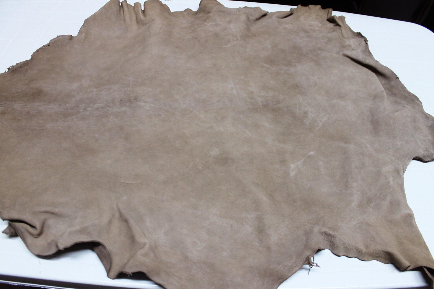 Italian Thick Strong Goatskin leather hide skin hides skins UNFINISHED ...