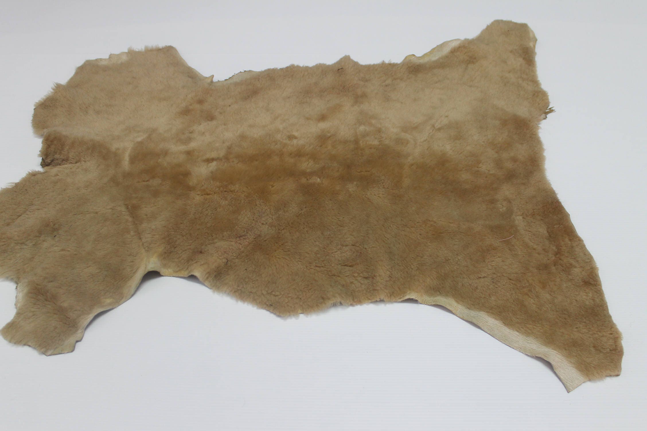 BEIGE CAMEL sheepskin hair on shearling fur sheep Italian leather skin ...
