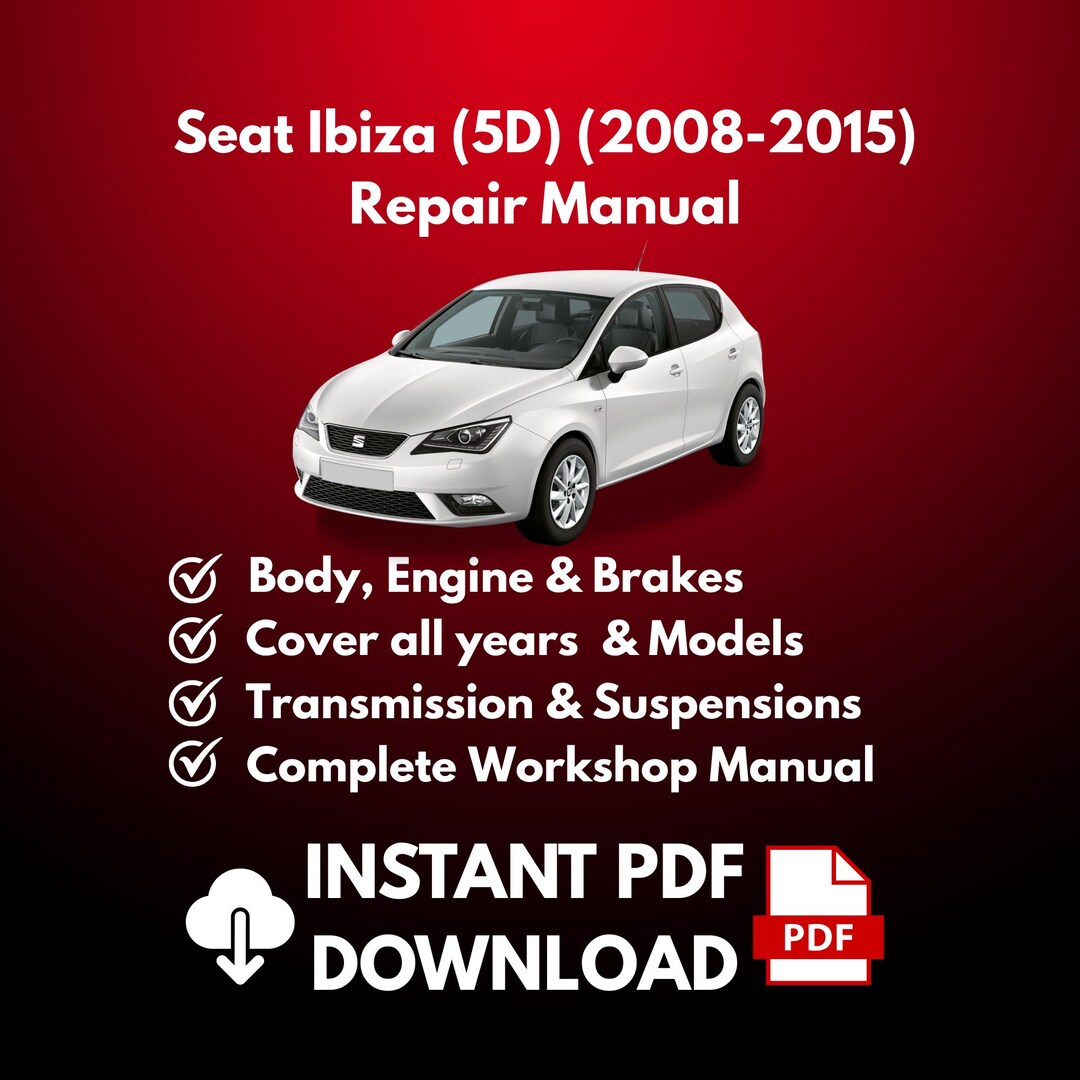 Seat Ibiza Service Zurcksetzennull