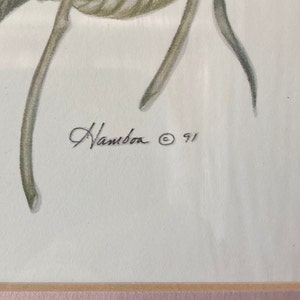 1991 Vintage Consuela Gamboa Framed Floral Print - Etsy
