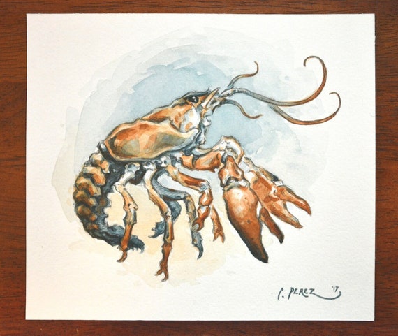 Crayfish Watercolor Painting Original Artwork Crawdad Art | Etsy