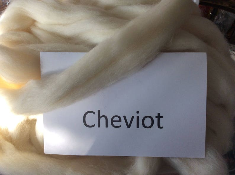 Cheviot Roving Cheviot top great for spinning dyeing or | Etsy
