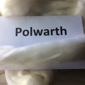 Polwarth Wool Roving, Polwarth Top - 100 Grams - From the Polwarth ...