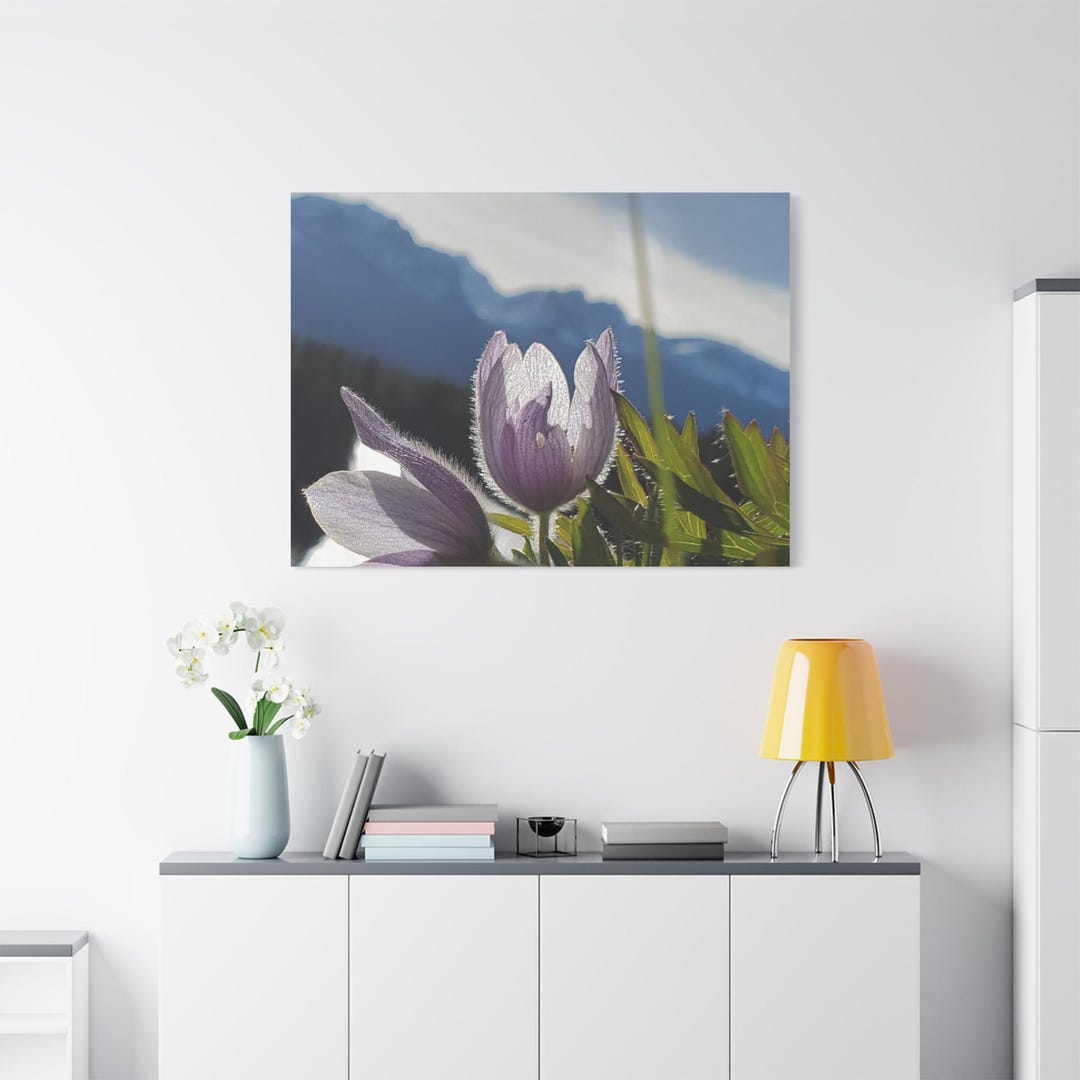 Crocus Flower Canvas | Stretched Matte Wall Art | Original Photo by ...
