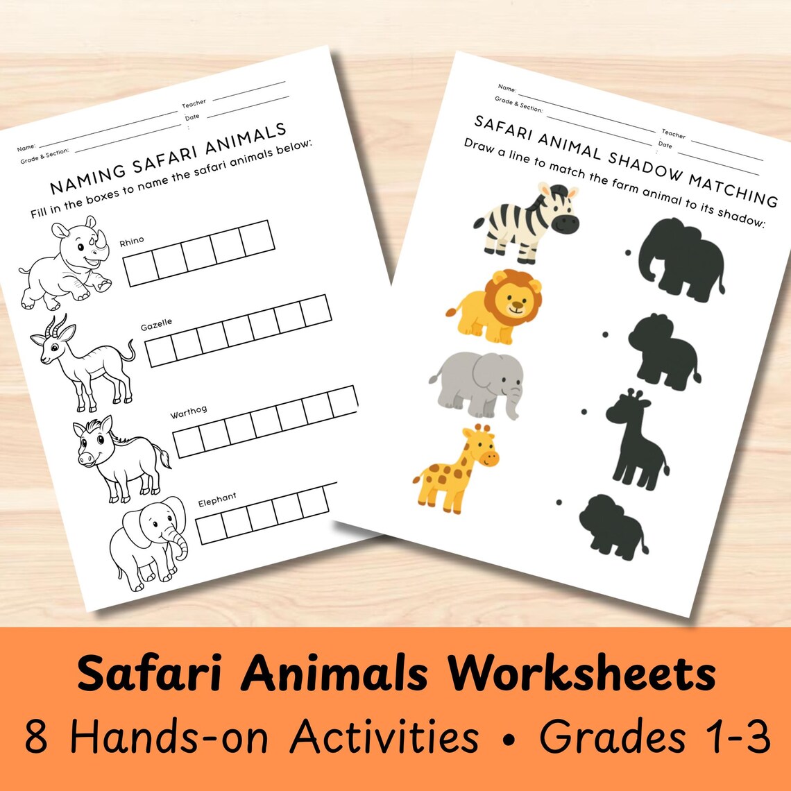 Safari Animals Worksheets | Pre-k to 3rd Grade Activities (digital ...