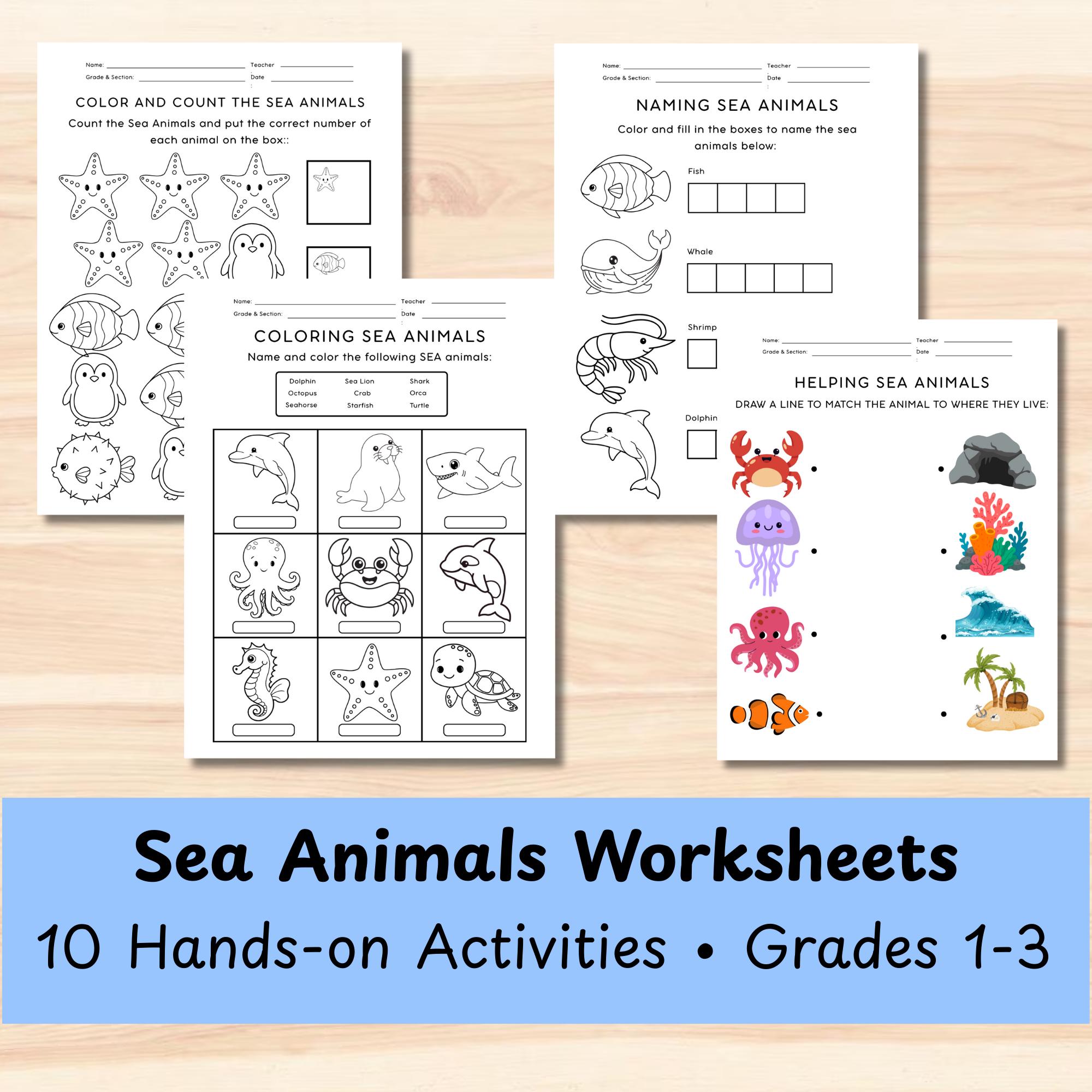 Sea Animals Worksheets for Grades 1–3 | Printable Activities for Kids ...