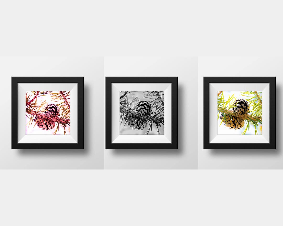 Pine Cone Print Set, Rustic Gallery Wall Set, 3 Panel Wall Art, Lake ...