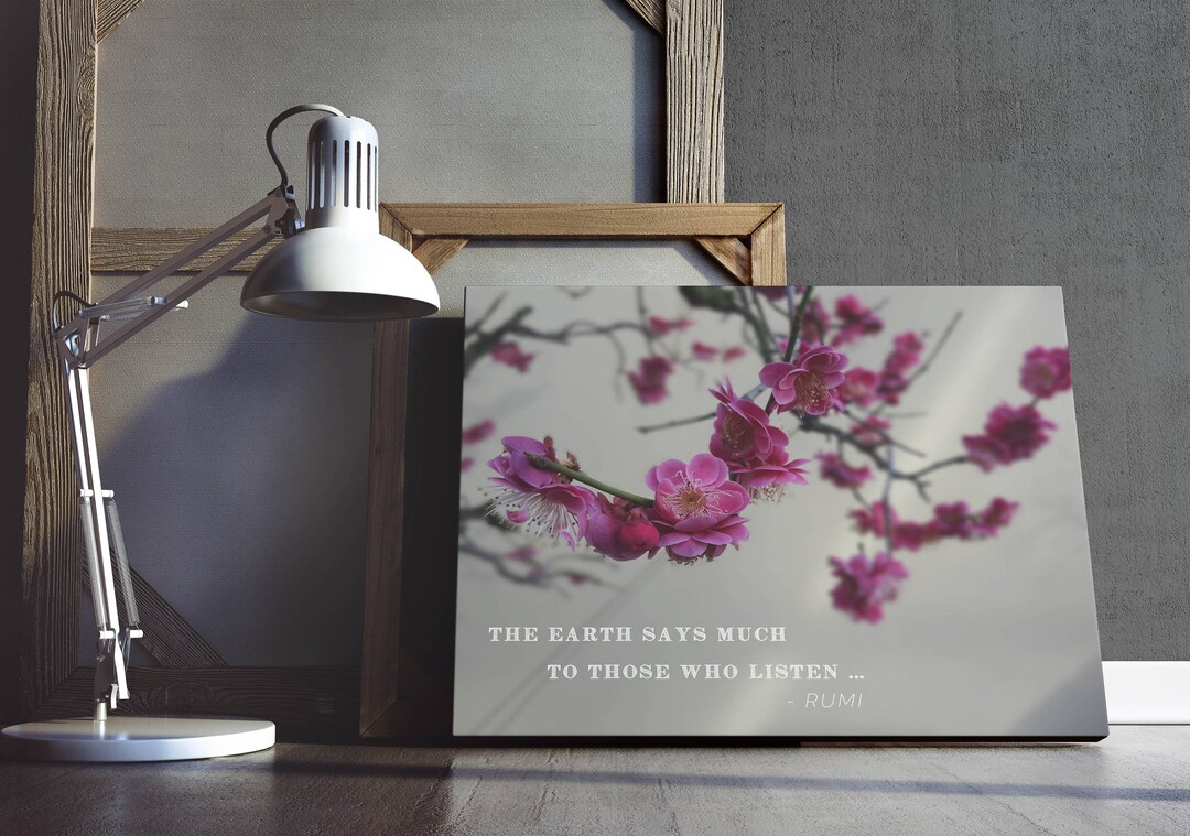 Japanese Apricot Bonsai Print, Rumi Quote, Botanical Art - Etsy