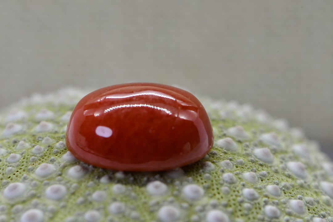 Burmese Red Jade Cabochon: Oval Smooth Flat Back, 12x10mm - Etsy