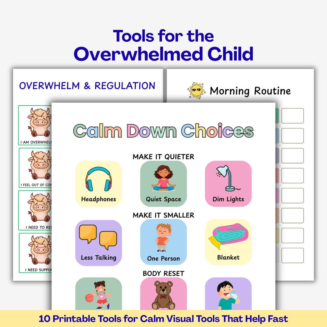 Meltdown Support Toolkit for Kids | Calm Visual Tools, Regulation Cards ...