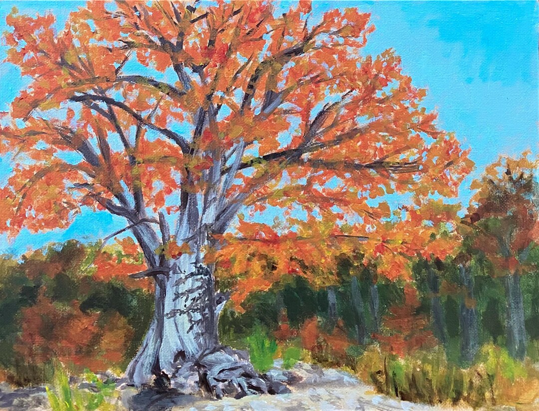 The Big Tree at Garner Print - Etsy