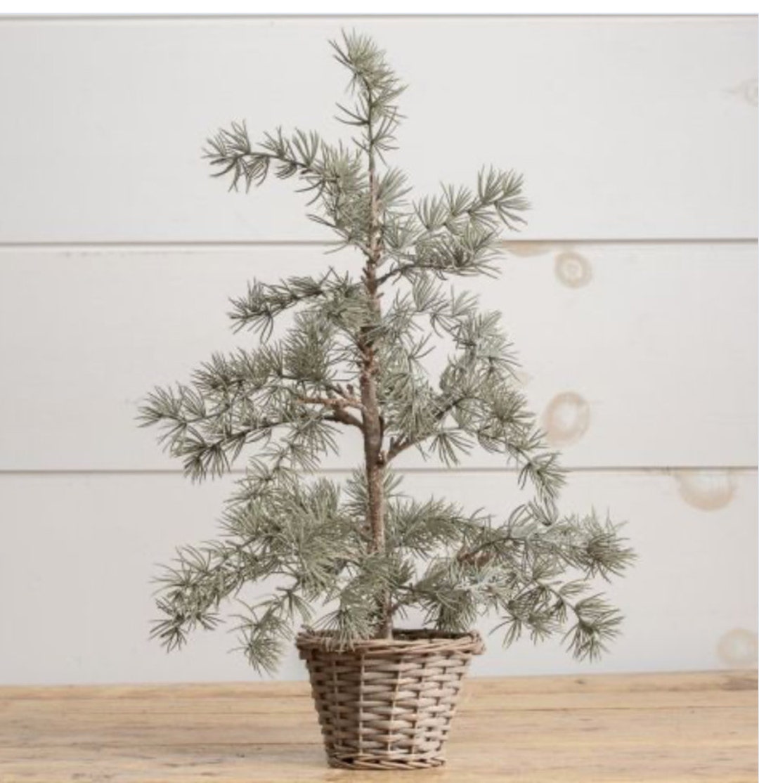 23 TUFTED Winter PINE TREE in a Weathered Washed Gray Wicker Basket ...