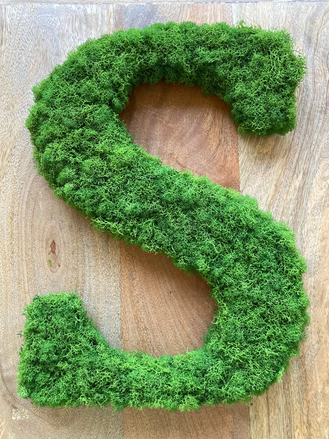 Large Moss Letters/numbers/symbols - 12” to 24” - Choose Any Letters ...