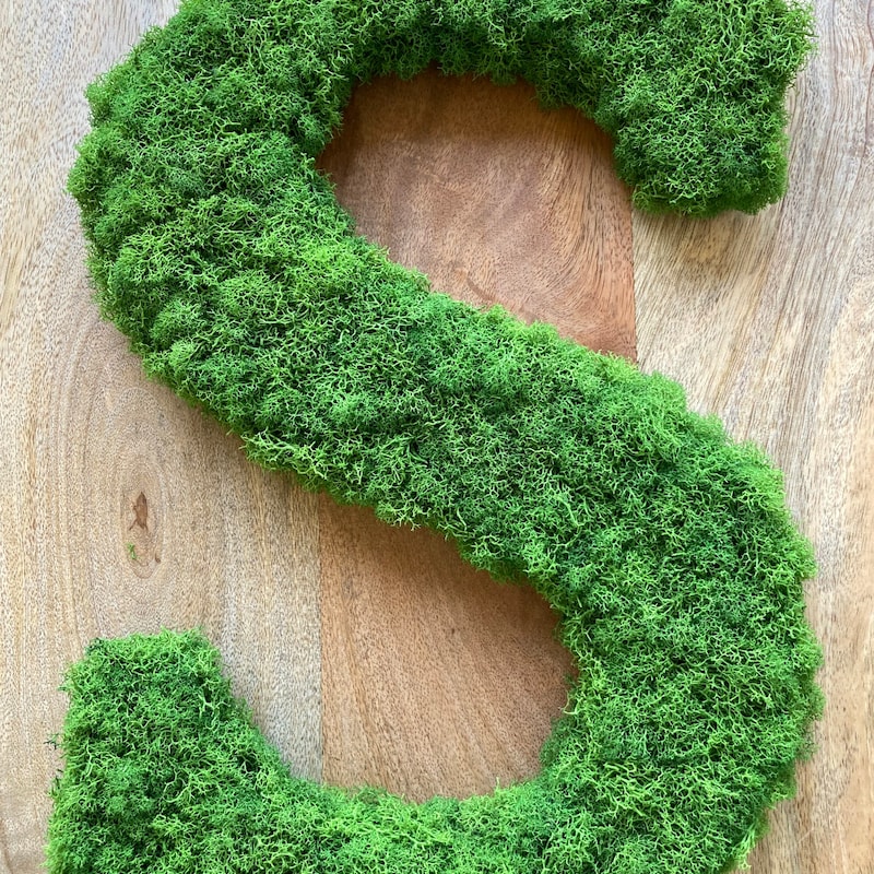 Twig Monogram Letters - Etsy