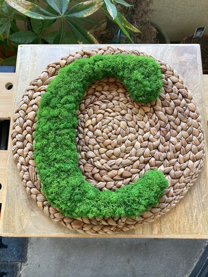 Large Moss Letters/numbers/symbols 12 to 24 Choose Any - Etsy