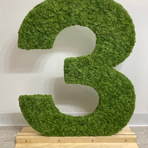 3 Foot Tall Standing Moss Number/letter/symbol With Optional Portable ...