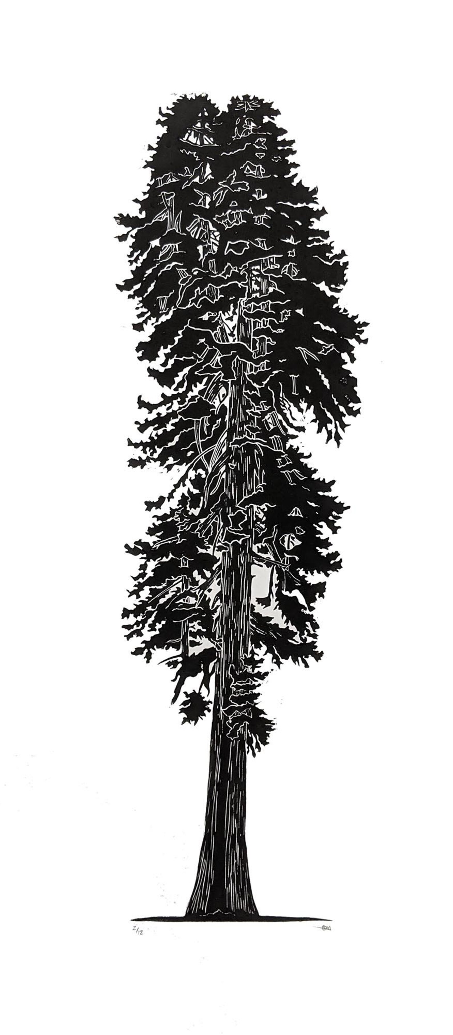 Redwood Tree Linocut - Etsy