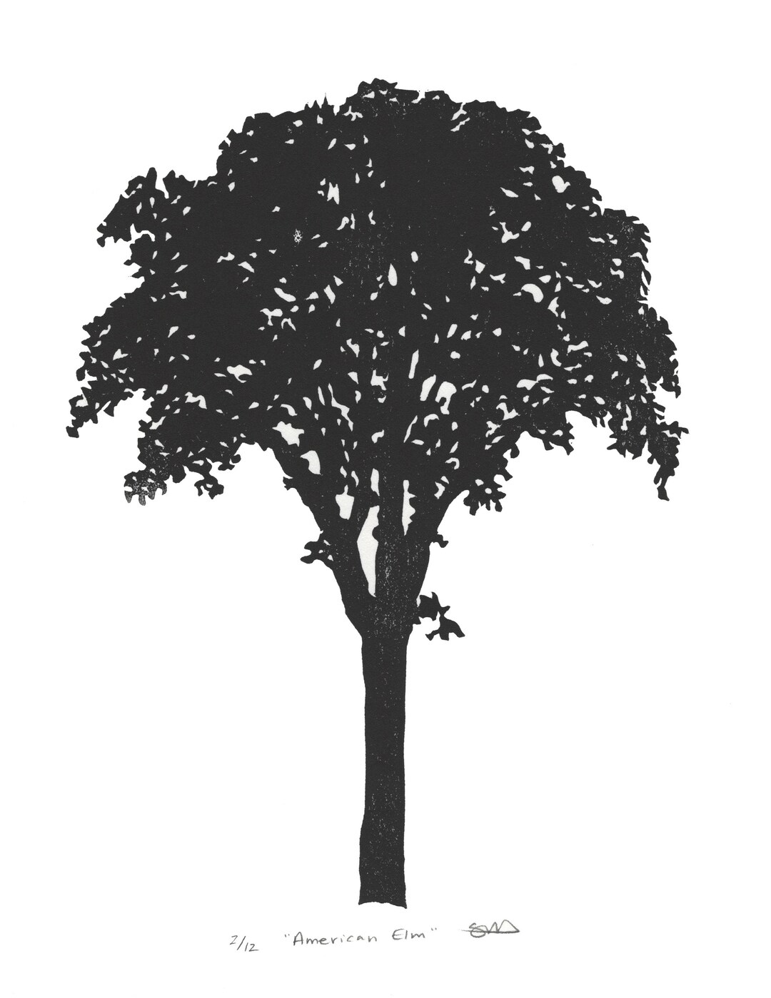 American Elm Tree Linocut - Etsy