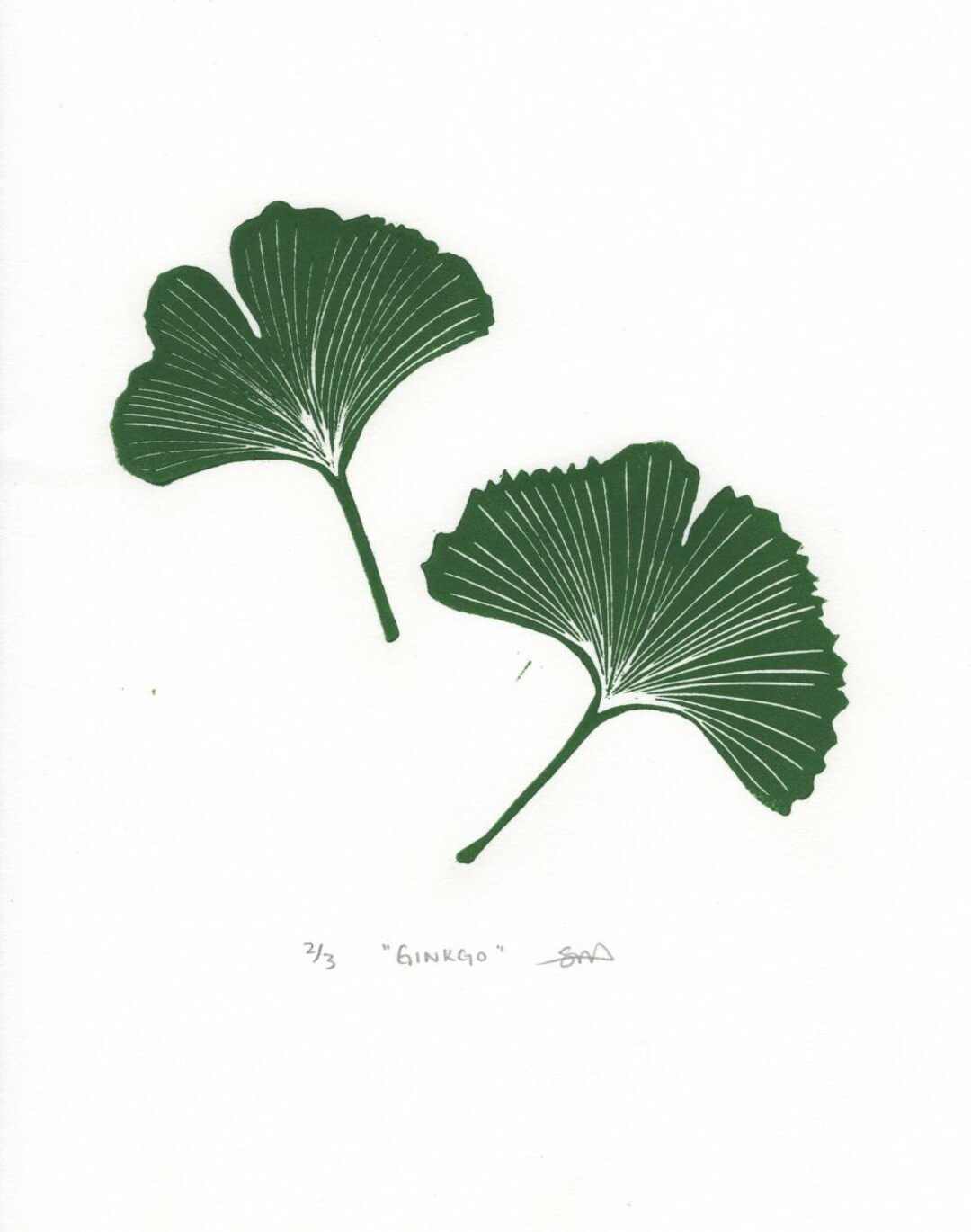 Gingko - Etsy