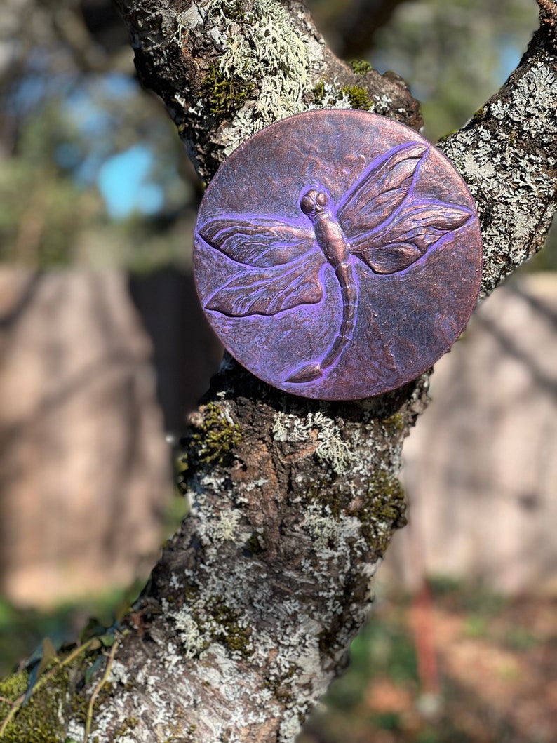 Concrete Dragonfly Garden Plaque - Etsy UK