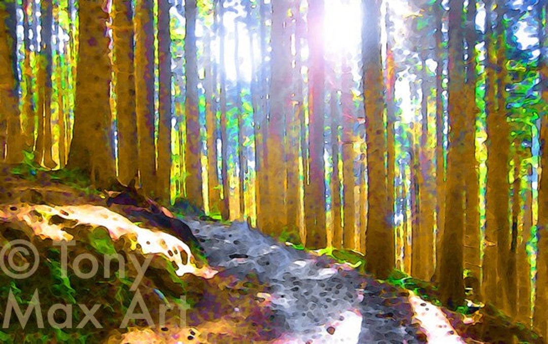 Mountain Forest Trail – Realistic. British Columbia Art, BC Coast Art ...